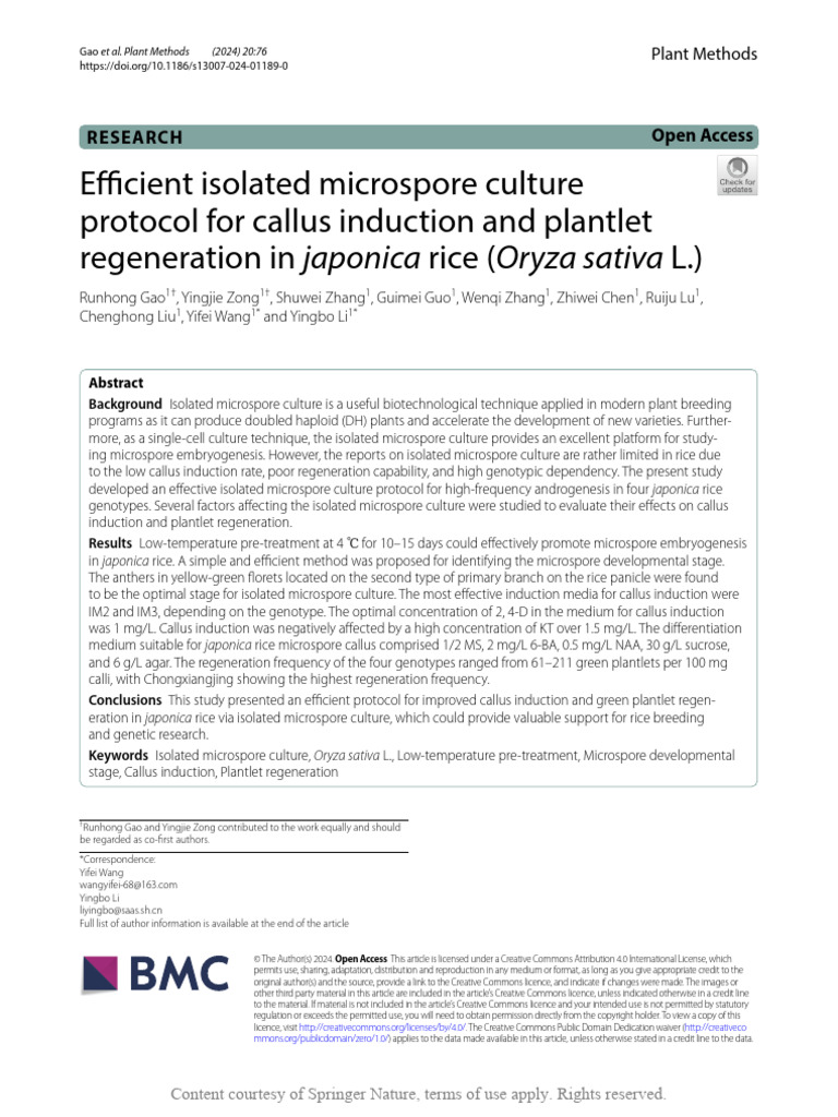Efficient Isolated Microspore Culture Protocol For | PDF | Plant ...
