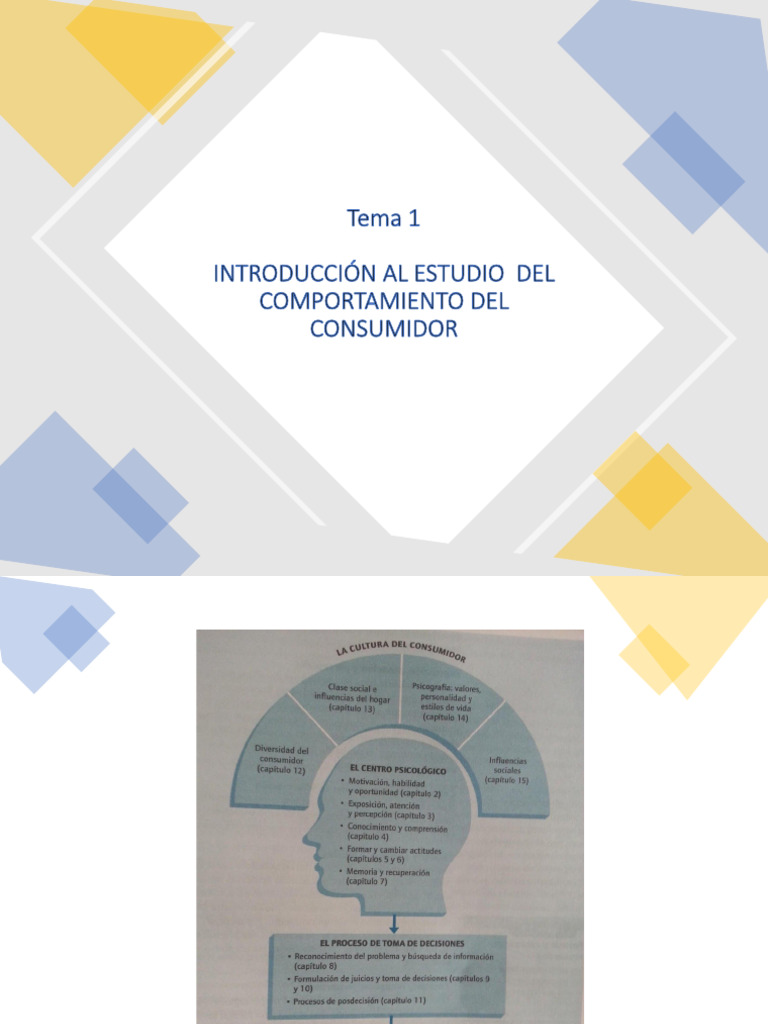 Tema 1 Comportamiento Del Consumidor 2021 | PDF | Comportamiento | Marketing