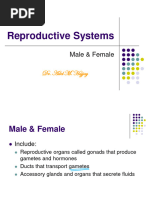 Human Reproductive Systems PowerPoint | PDF | Human Reproduction ...