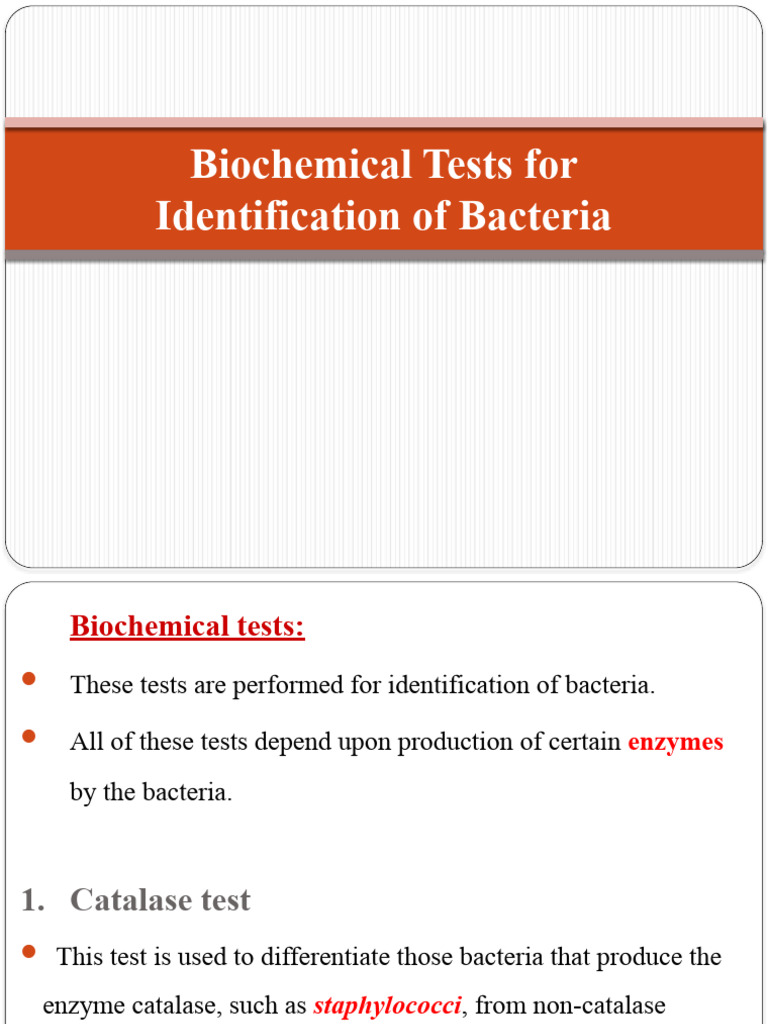 7 - Biochemical Tests | Download Free PDF | Catalase