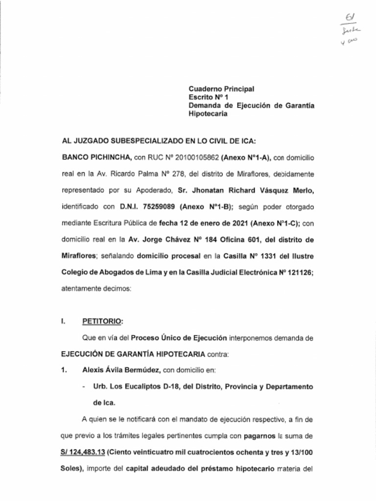 2024 0 1401 JR Ci 01 - Documento | PDF