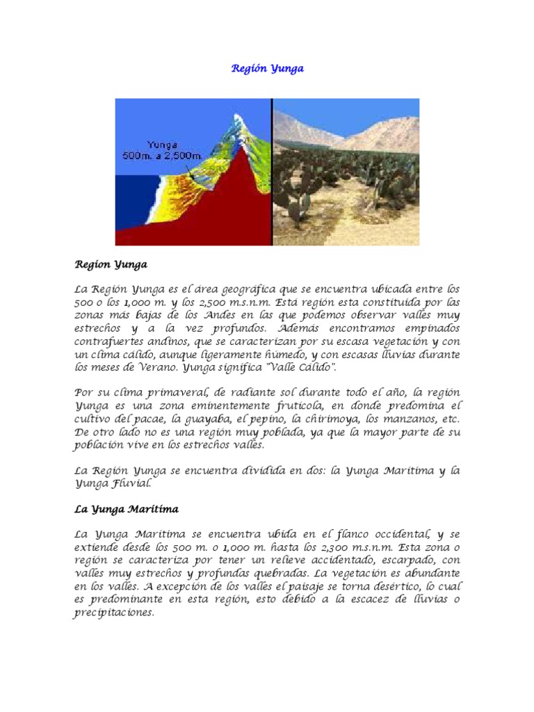 Región Yunga | PDF | Geografía Física | Ciencias de la Tierra