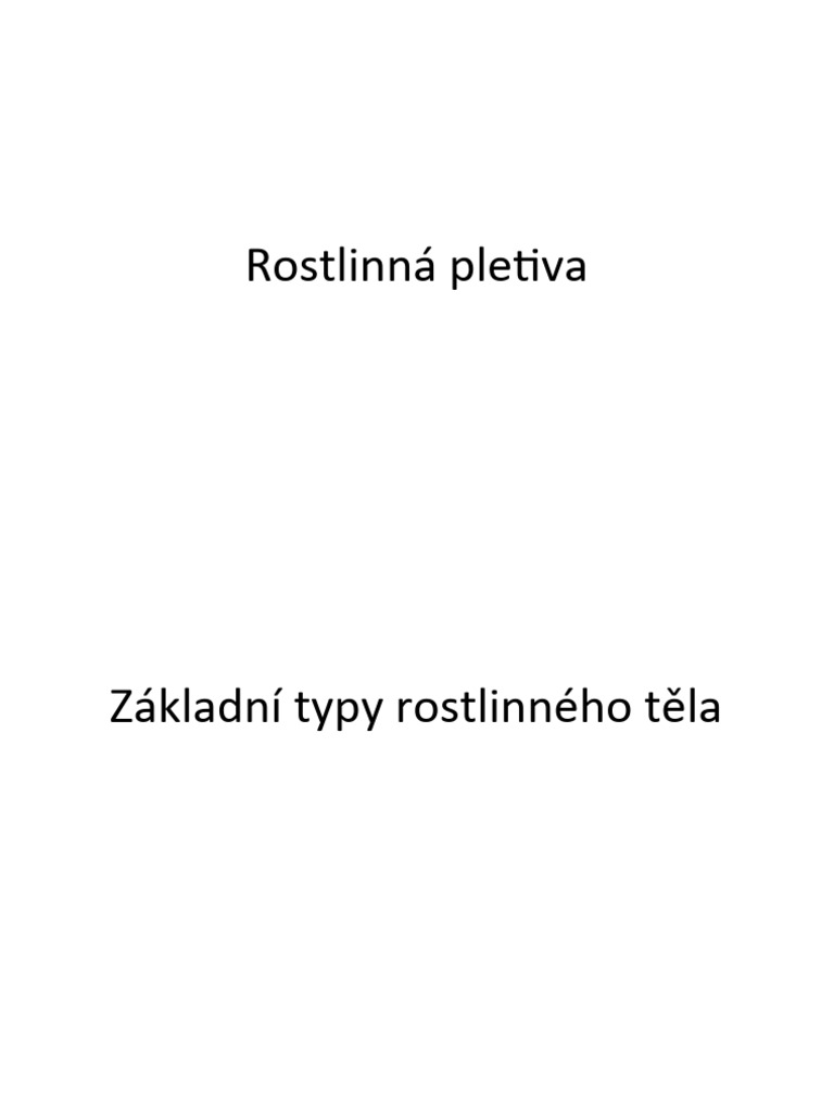 Pletiva Â Kopie Â Kopie | PDF