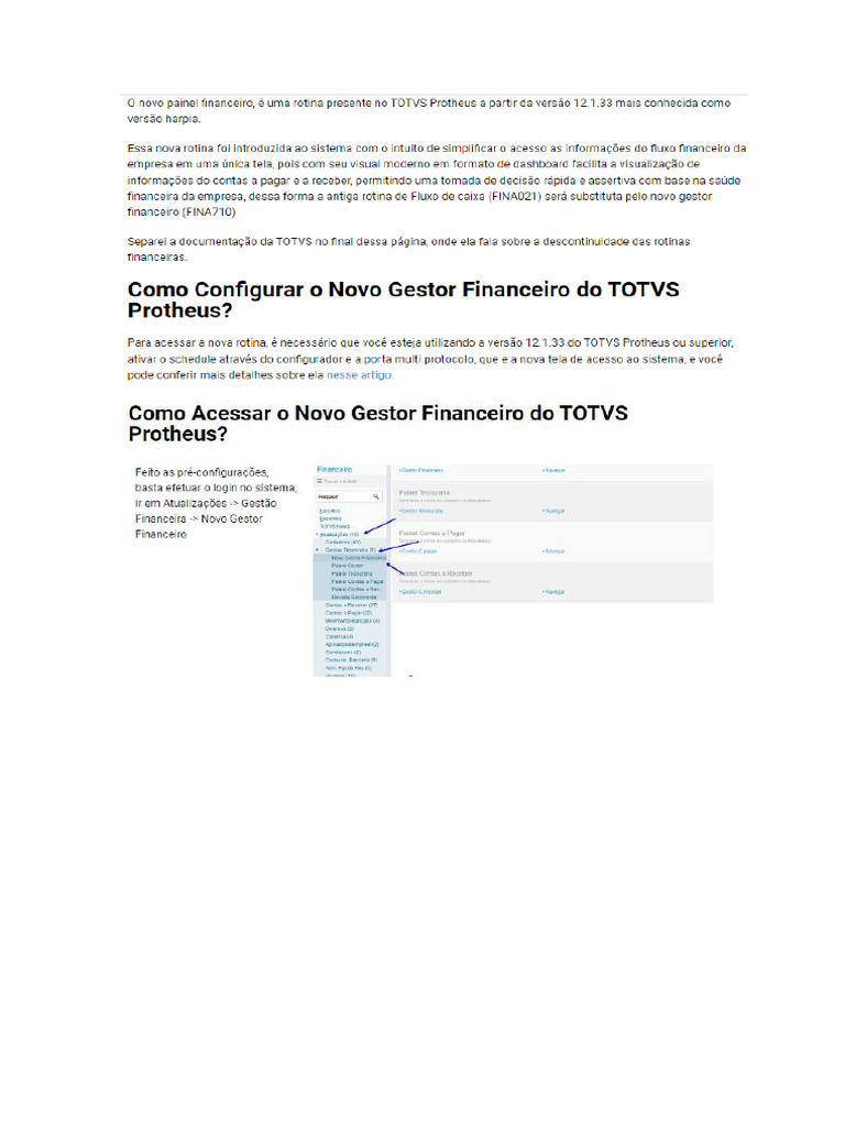 Novo Gestor Financeiro | PDF