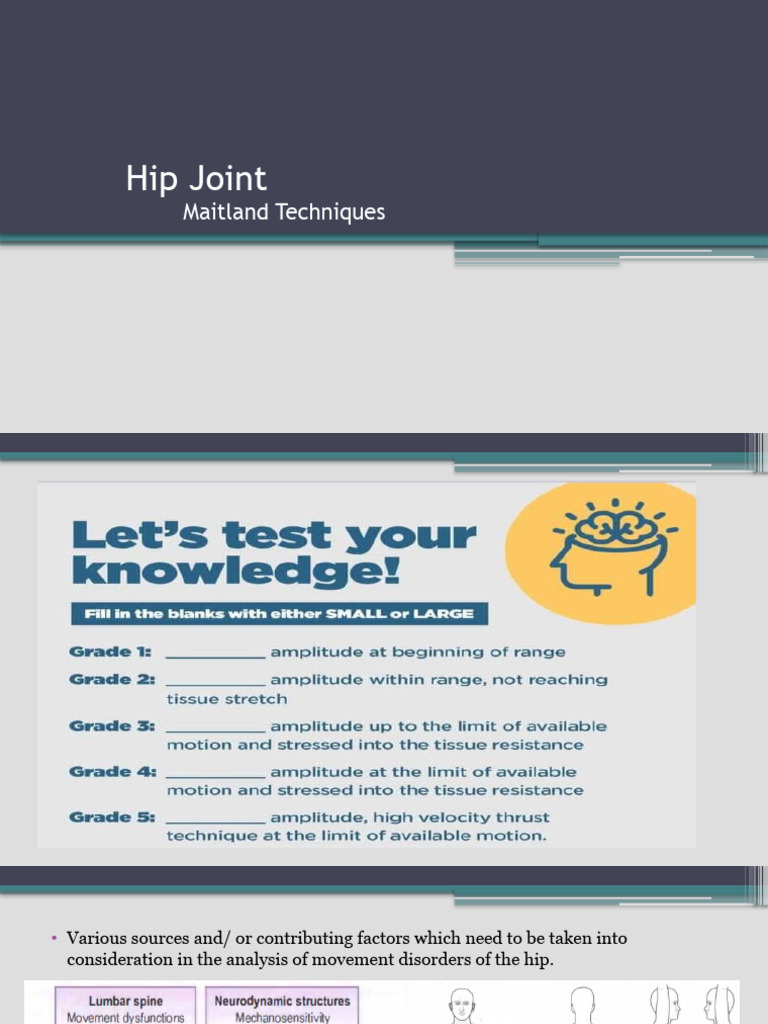 Maitland Hip Joint | PDF | Anatomical Terms Of Motion | Hip