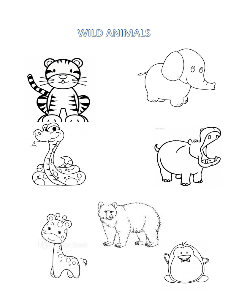 Wild Animals 5 | PDF