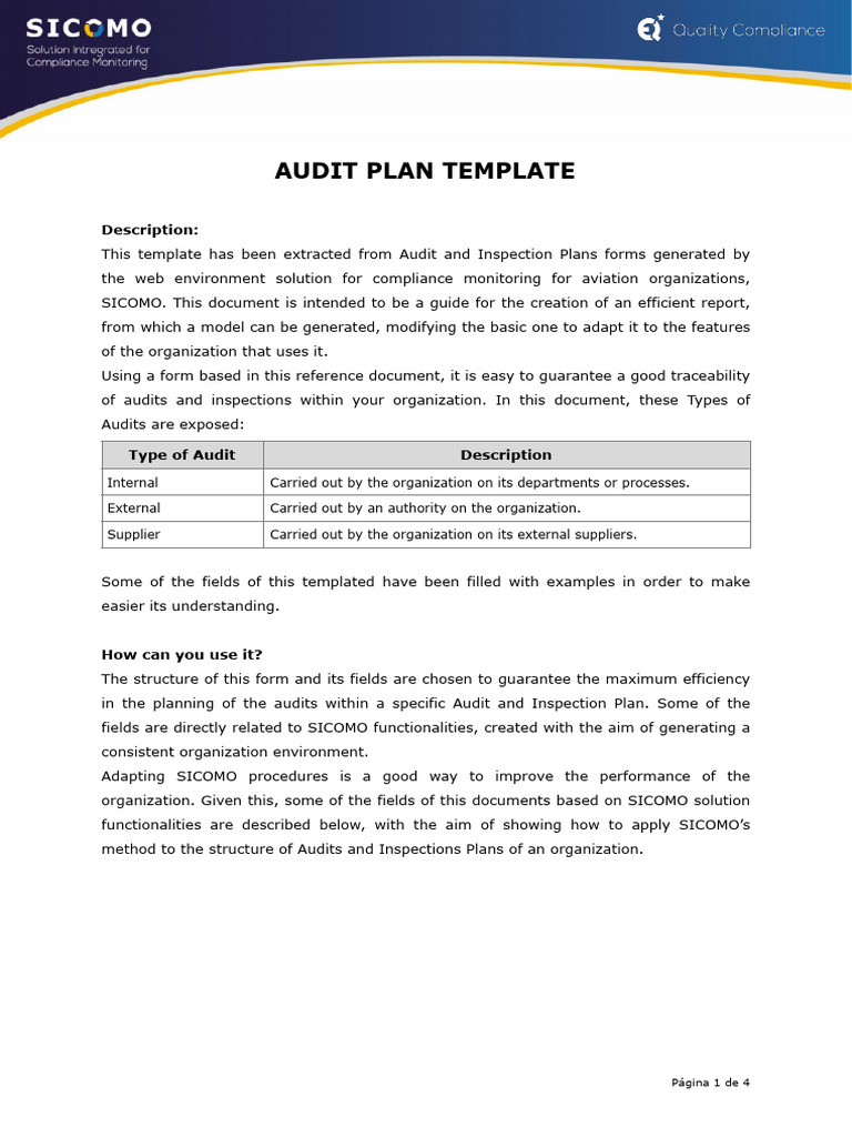 Audit Plan Template for Aviation Compliance | PDF | Audit | Business