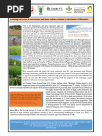 Environmental Abbreviations List | PDF | Environment | Nature