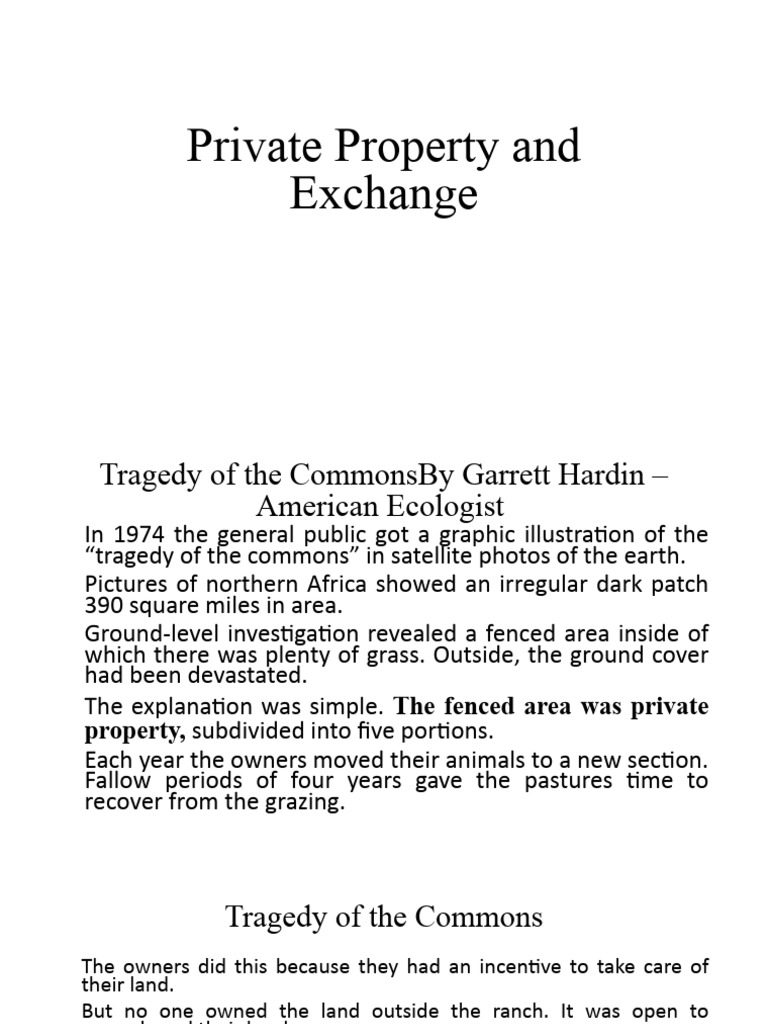 Understanding Private Property Rights | PDF | Externality | Property
