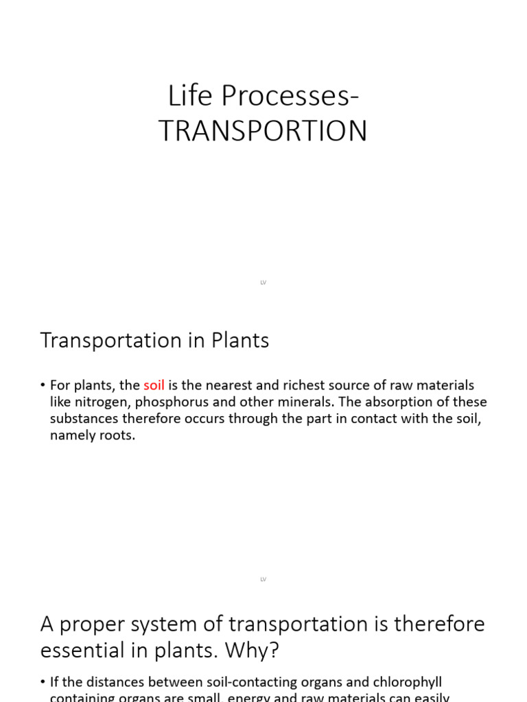Life Processes- Transportation in plants- PPT | Download Free PDF ... Life Processes- Transportation in plants- PPT | Download Free PDF ...