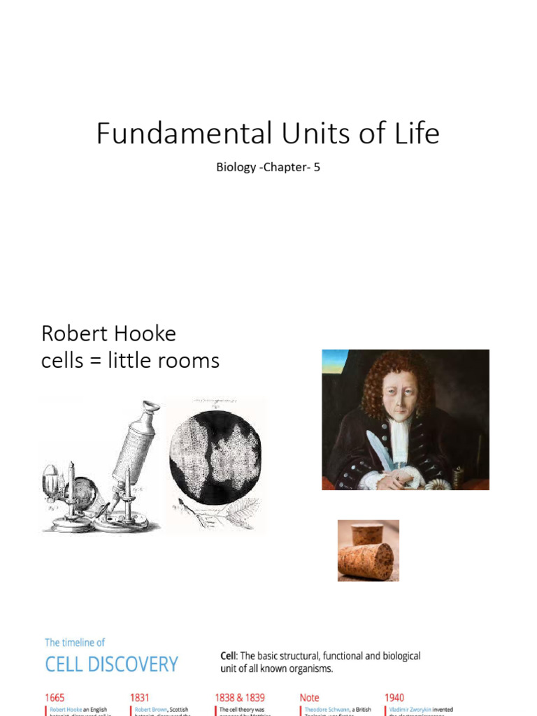Cell - Fundamental Units of Life Edited | PDF | Osmosis | Cell (Biology)