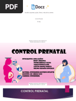 Carnet Perinatal para Embarazadas | PDF | Embarazo Mamífero | Medicina