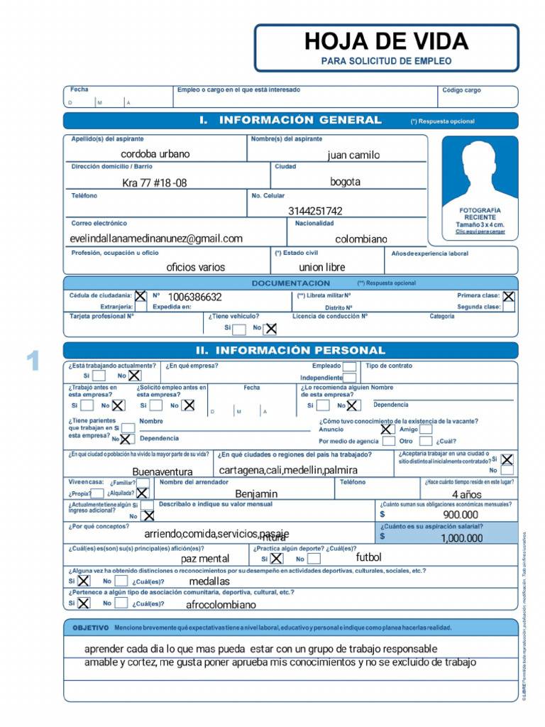 Formato Hoja de Vida Minerva 1003 - Edit - 01 06 2023 - 22.57.10 | PDF