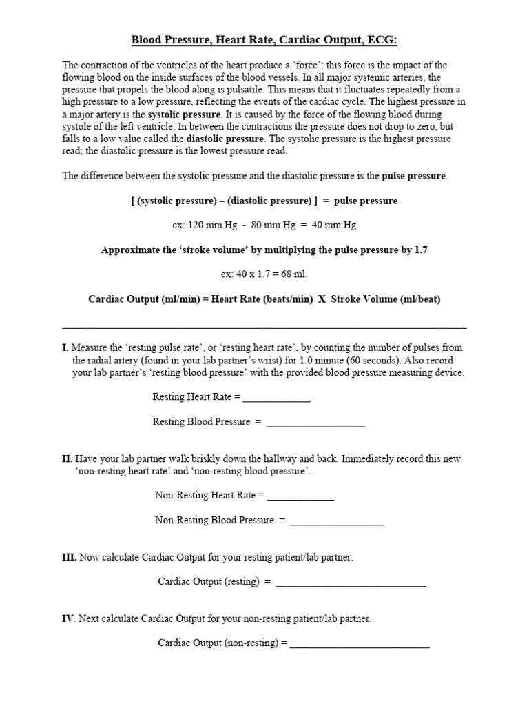Blood Pressure Lab | PDF | Heart Rate | Blood Pressure