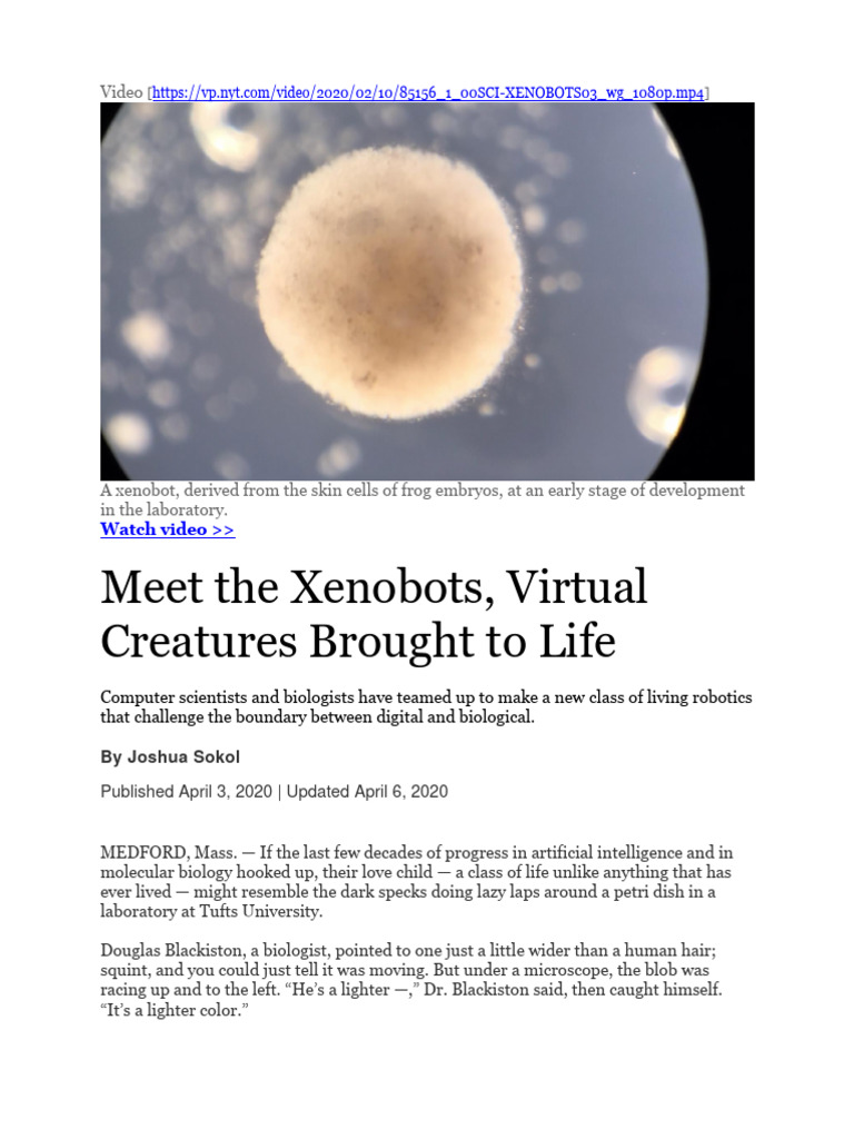 Meet The Xenobots, Virtual Creatures Brought To Life | PDF | Life ...
