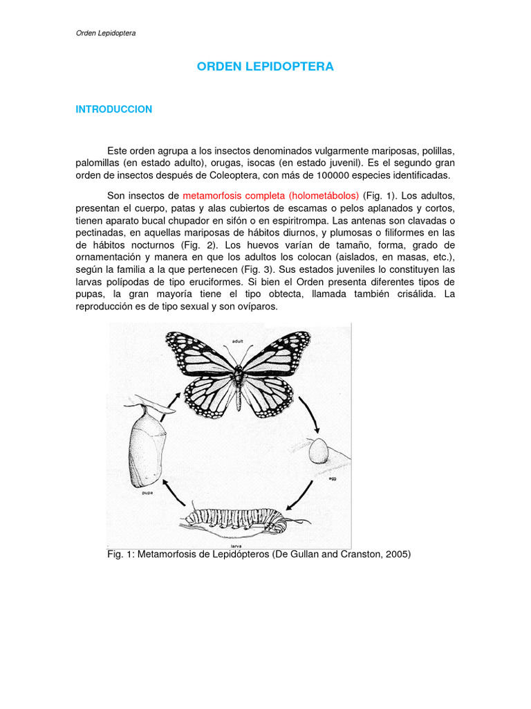 Guía de Lepidópteros Agrícolas | PDF | Lepidópteros | Crisálida