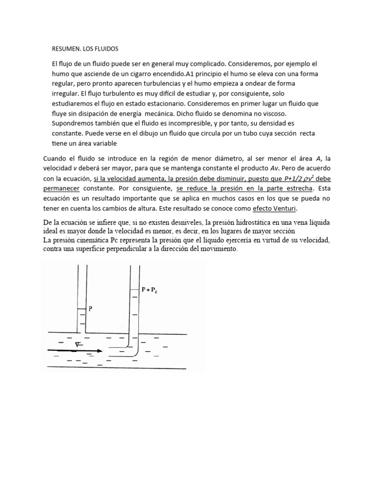 Resumen Fluidos | PDF