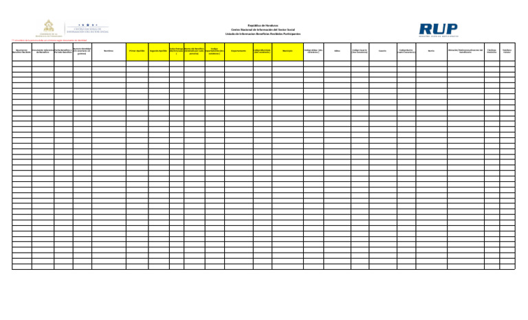 Formato Informacion CENISS RUP | PDF