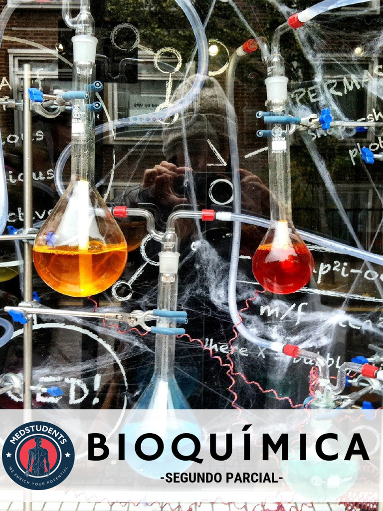EBOOK BIOCA 2EP 2023 Cap 1 - 231007 - 042848 0 | PDF | Carbohidratos ...