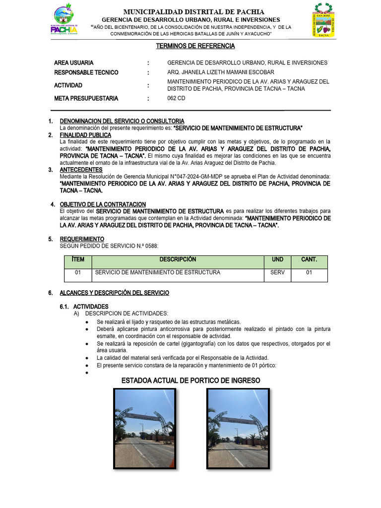 TDR Servicio Mantenimiento de Estructura | PDF TDR Servicio Mantenimiento de Estructura | PDF