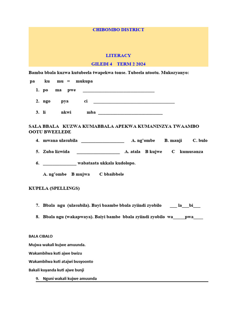 Grade 4 Literacy Test - Icibemba | PDF