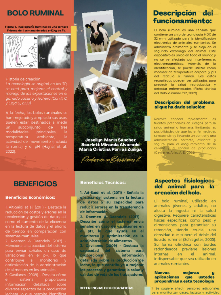 Brochure de Bolo Ruminal | PDF | Vacas