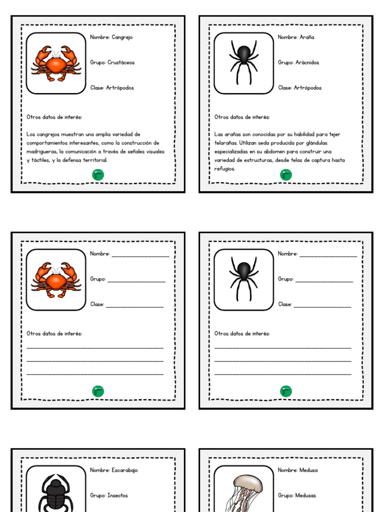 Tarjetas Datos Invertebrados | PDF | Araña | Esponja