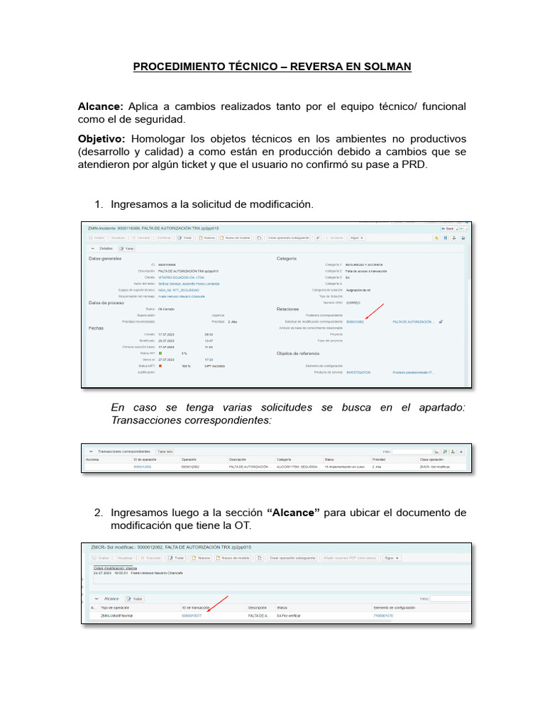 Procedimiento Técnico - Reversa Solman v1 | PDF | Informática | Tecnologías de la información