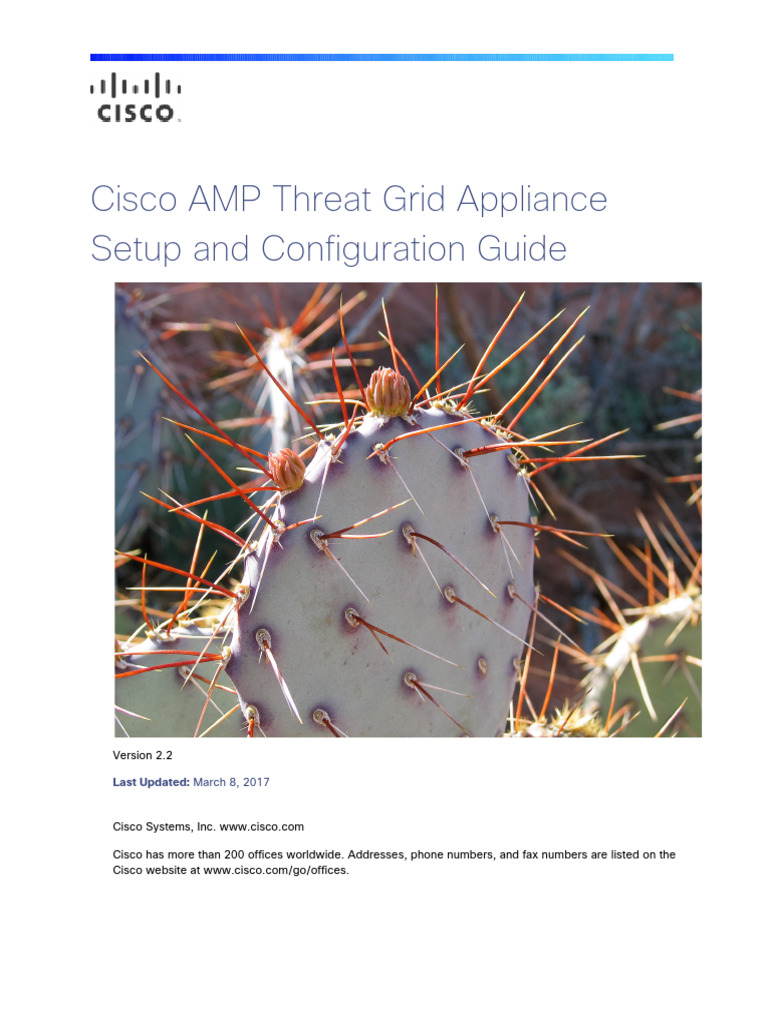 Cisco AMP Threat Grid Appliance Setup and Configuration Guide | PDF | Domain Name System ...
