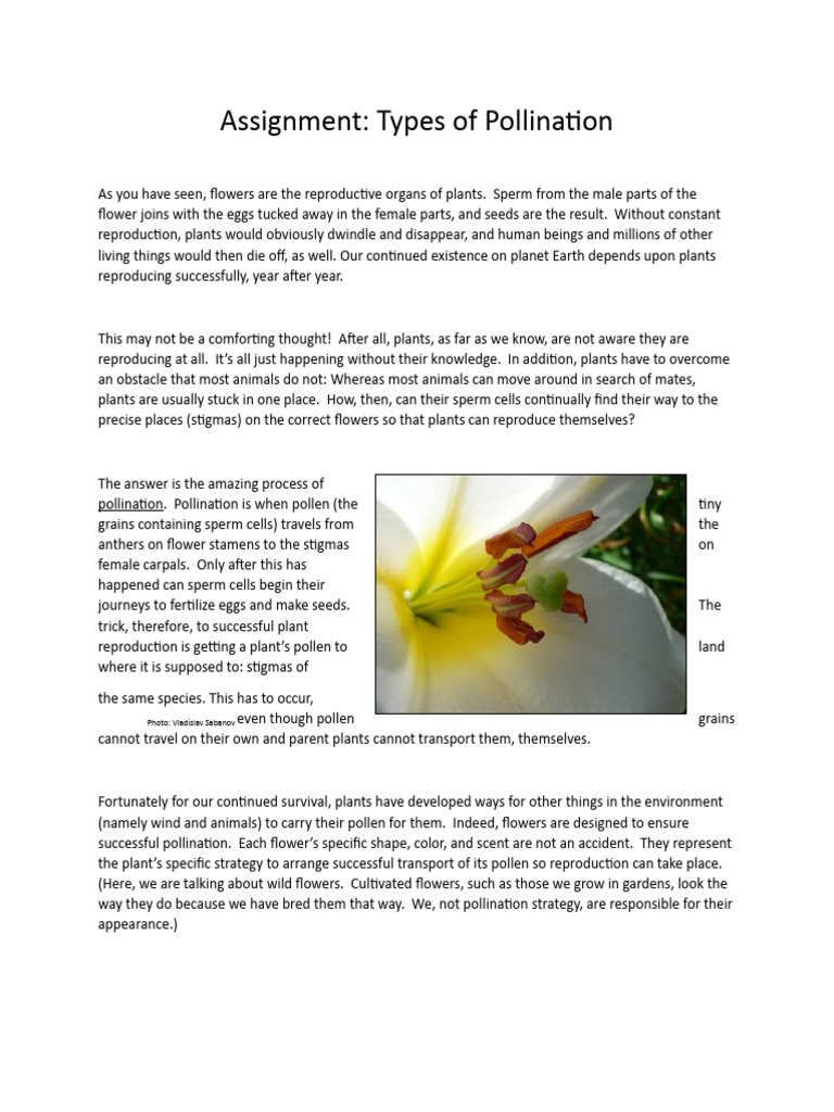 7th Grade Types of Pollination | PDF | Flowers | Pollination