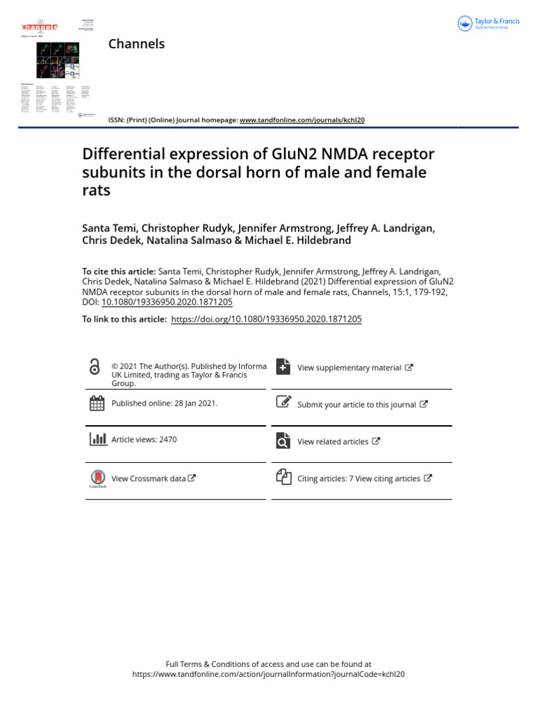 Differential expression of GluN2 NMDA receptor subunits in the dorsal horn of male and female ...