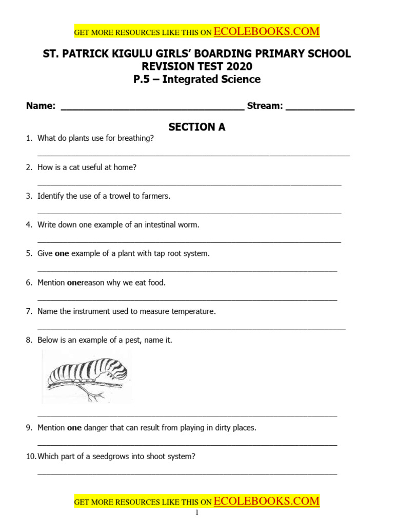 p.5 Sci Revision Test 2020 Exam | PDF | Flowers | Pollination