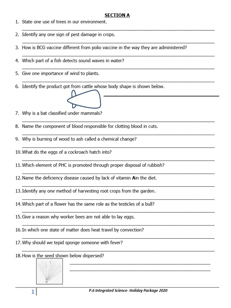 p.6 Science Revision Questions | PDF | Pest (Organism) | Plants