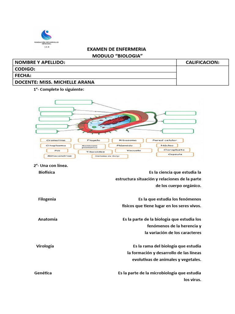 Examen de Enfermeria Biologia 2024 | PDF Examen de Enfermeria Biologia 2024 | PDF