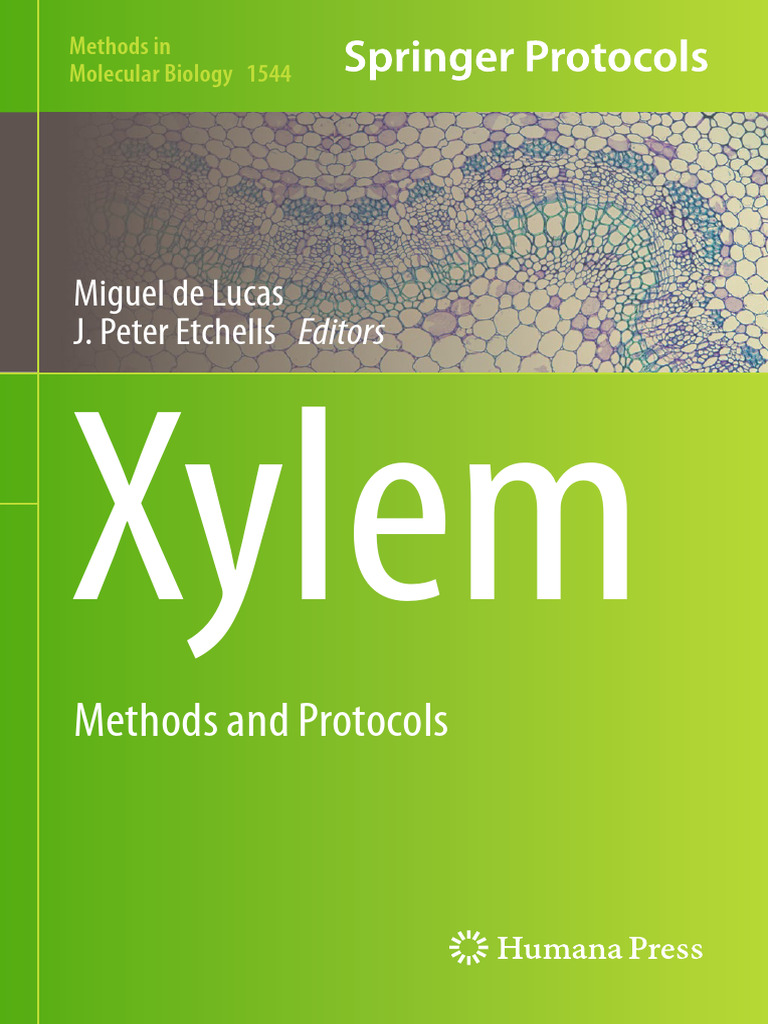 Xylem - Methods and Protocols | PDF | Auxin | Root