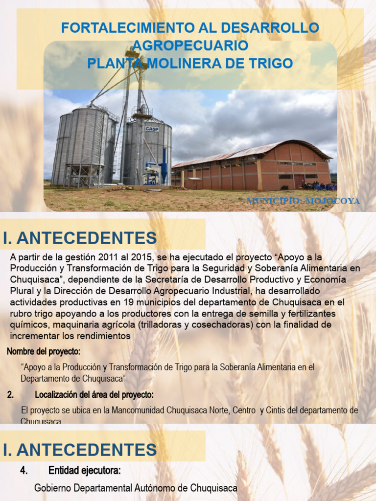3, Presentacion Planta Molinera-2020 | PDF | Trigo | Agricultura