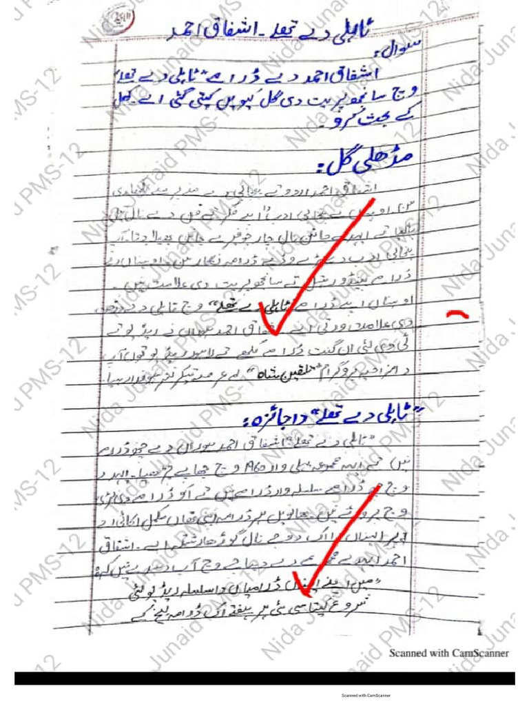 Punjabi Question Nida Junaid | PDF