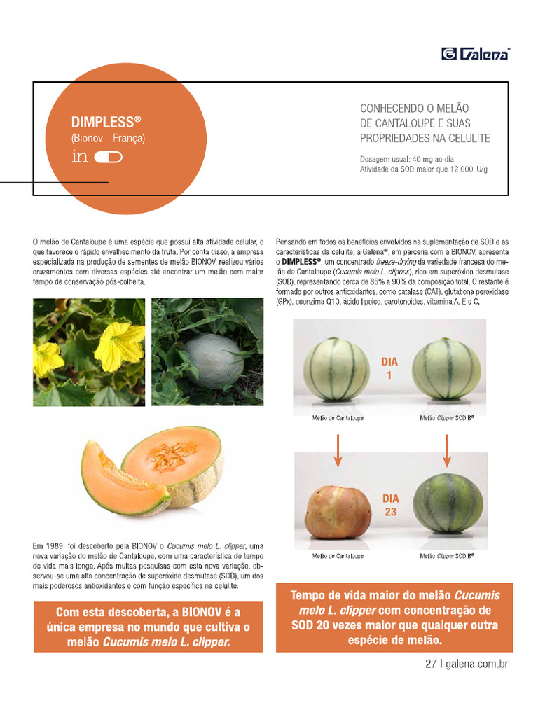 dimpless | PDF
