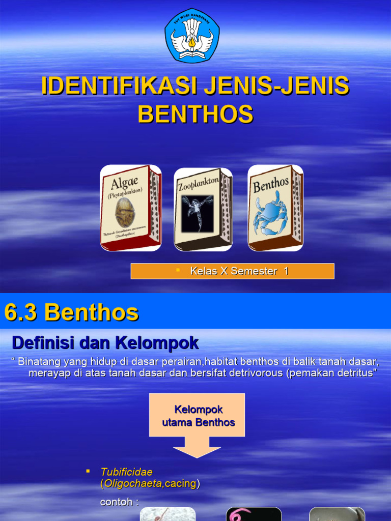 Identifikasi Jenis-Jenis Benthos | PDF