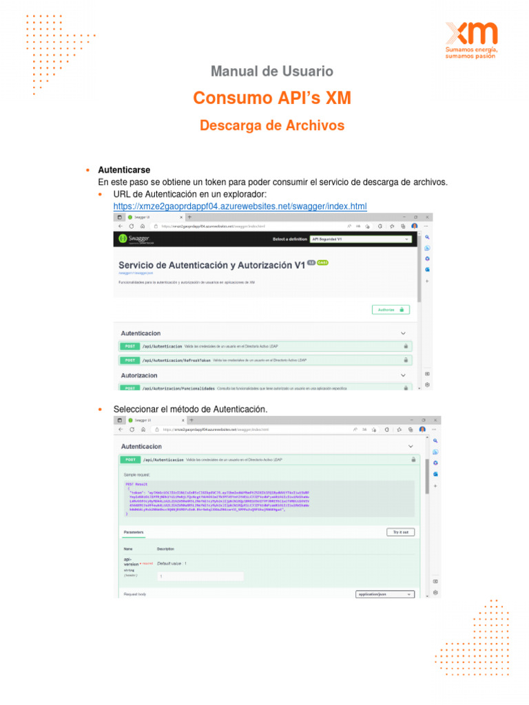 Manual Usuario Consumo Api - V2-1 | PDF | Archivo de computadora | Autenticación