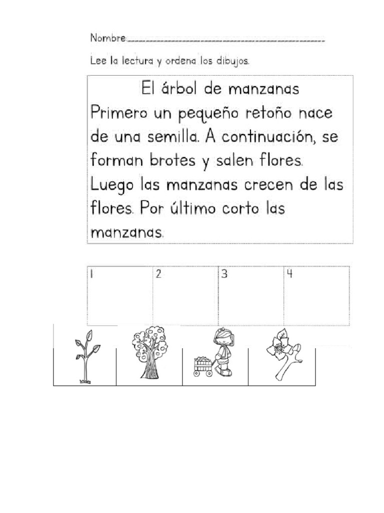 Actividades De Comprensión Lectora Pdf