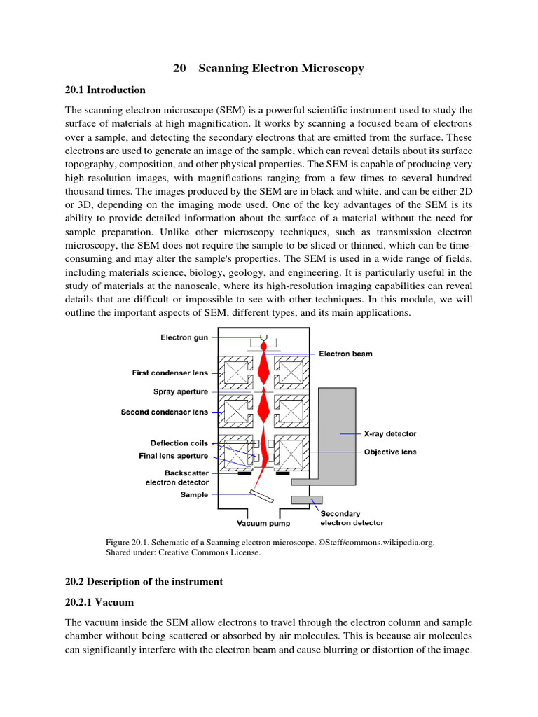20-Notes - Scanning Electron Microscopy-1-7 | Download Free PDF ...