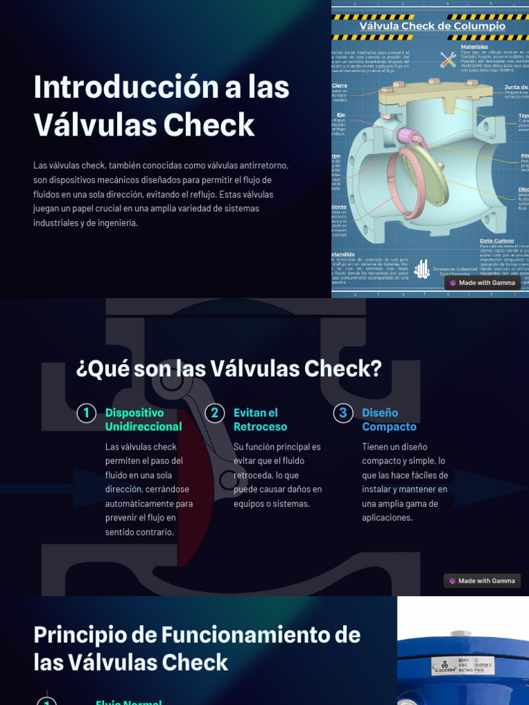 Introduccion A Las Valvulas Check | PDF | Válvula | Bomba