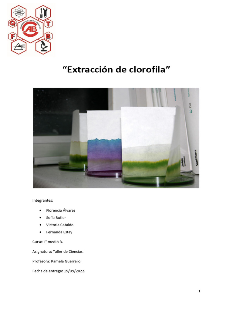 Extracción de Clorofila en Espinaca | PDF | Plantas | Cloroplasto