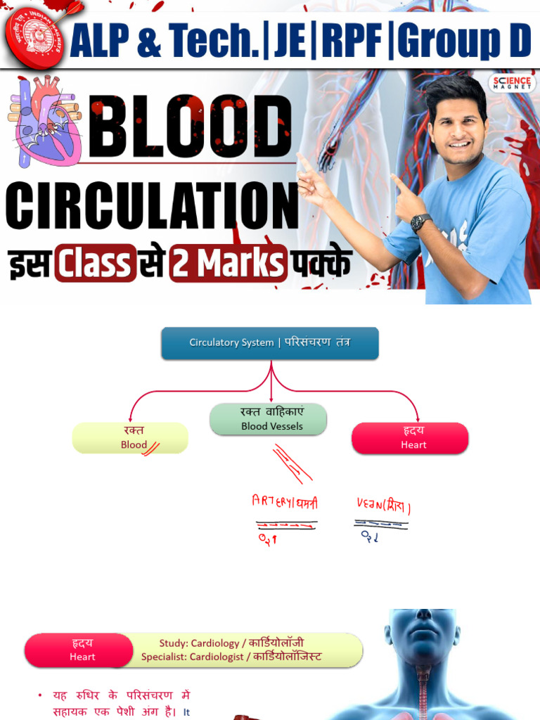 Blood Circulation | PDF