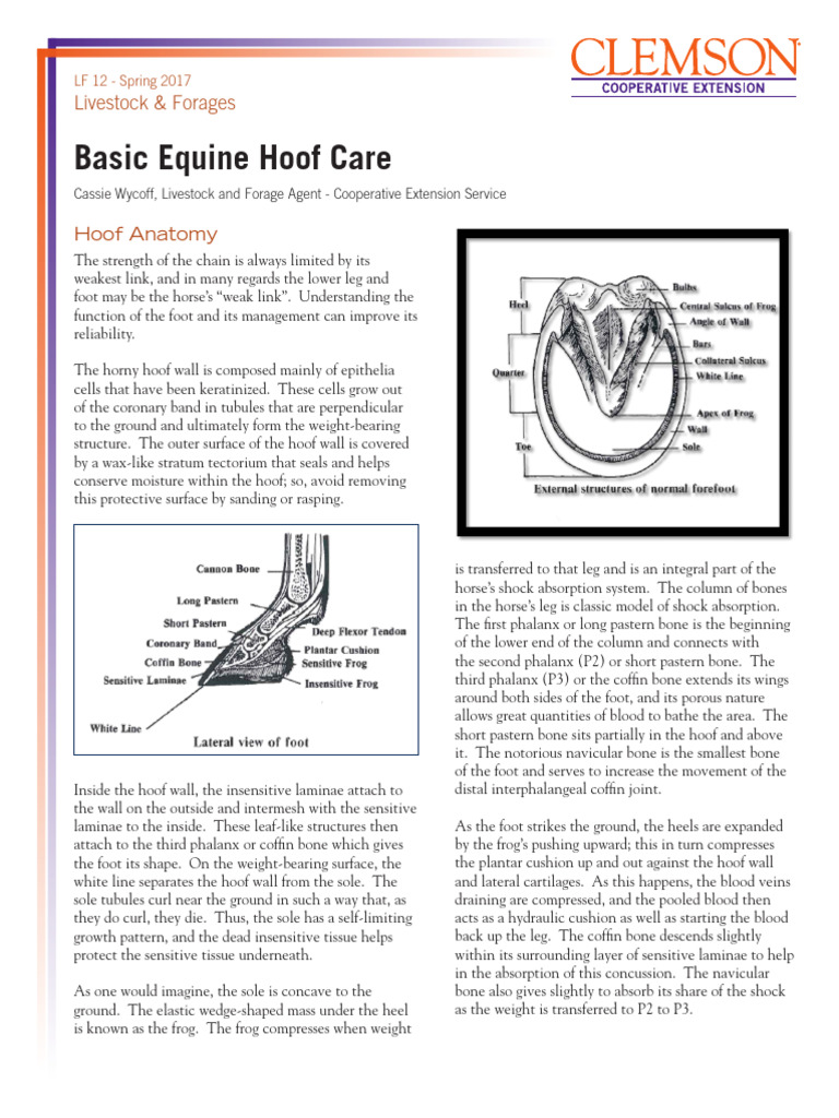 Basic Equine Hoof Care (Article) Author Clemson University South ...