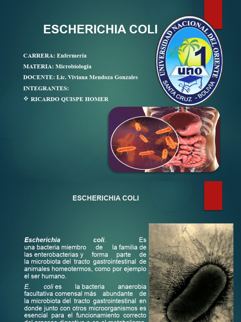 Escherichia Coli | PDF | Escherichia coli | Diarrea