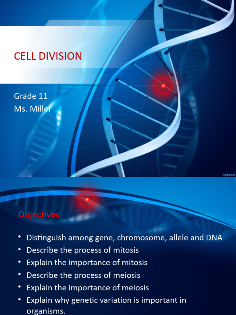 Cell Division | PDF | Ploidy | Meiosis