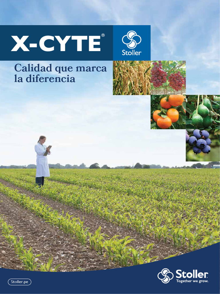 Diptico X CYTE 2023 Web | PDF | Plantas | Botánica