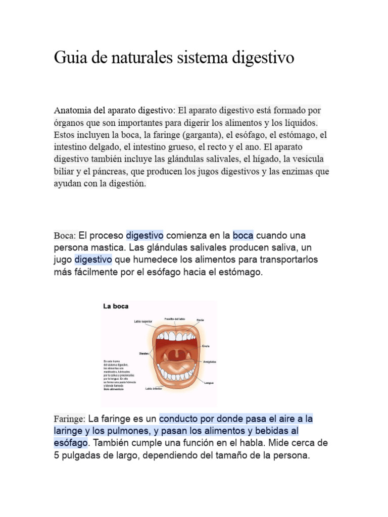 Guia de Naturales Sistema Digestivo | PDF | Bienestar | Ciencia y ...
